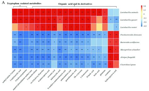 Figure A6 Spearman Correlation Analysis Between Bacterial Species And