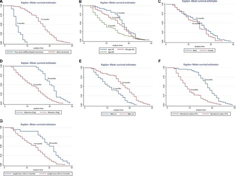 kaplan meier curves of overall survival according to pathological type