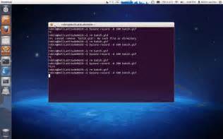 how to submit a linux at batch command systran box