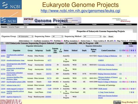 Ppt Next Generation Sequencing And Human Genome Databases Powerpoint