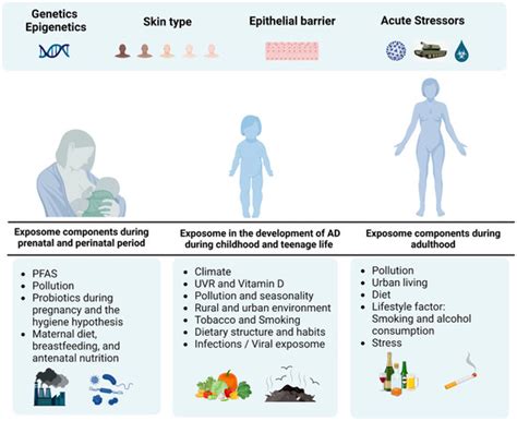 Jcm Free Full Text The Imprint Of Exposome On The Development Of