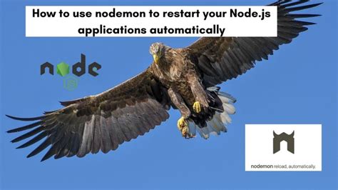 how to use nodemon to restart your node js applications automatically