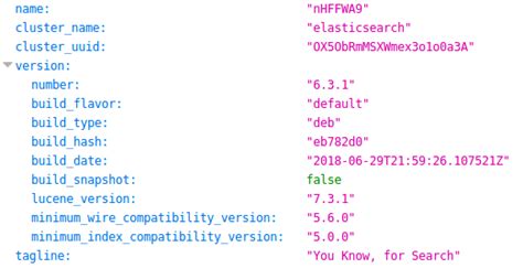 a beginners introduction to elastic search by sanath