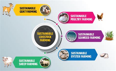 Sustainable Agriculture In India Types And Benefits