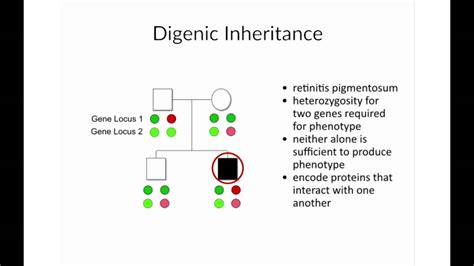 non mendelian inheritance patterns by bruce korf for