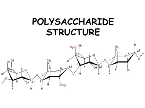 dược chất polysaccharides hỗ trợ điều trị các loại bệnh gì