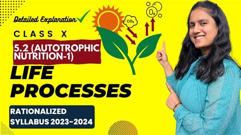 Life Processes Class 10 Science Biology Cbse Ncert Class 10 2023 24