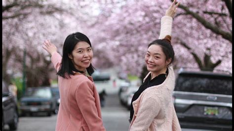 Chinese Girls Love Cherry Blossom Youtube