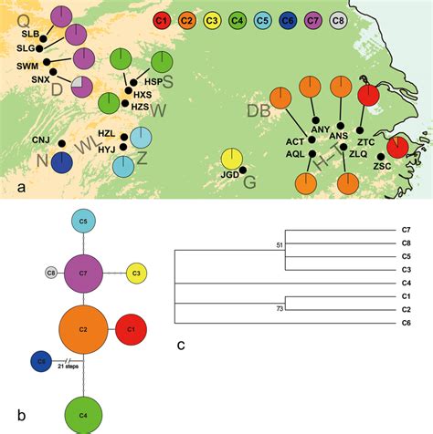 A Distribution Of 8 Chlorotypes Of B Clarkeana H T Mt Huang And