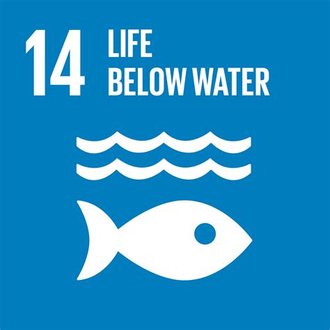 Press Release Responding To Cascading Global Crises Sdg Summit
