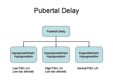Puberty Normal And Abnormal For Ug2014 Puberty Disorders