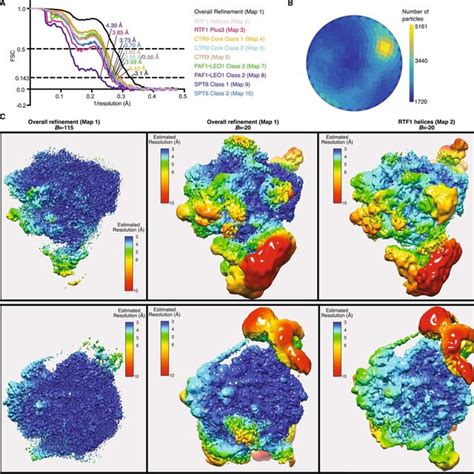 Quality Of Cryo Em Data A Estimate Of Average Resolution The Lines