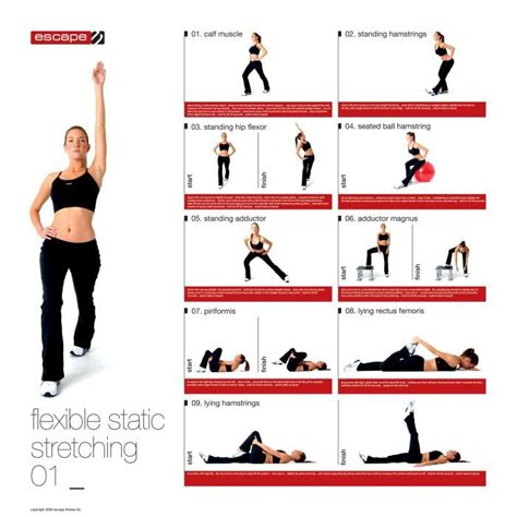 Static Stretches Pull Our Muscles And Hold Them At A Stretch Position
