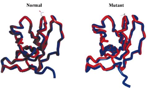 Three Dimensional Structures Of The Modeled Igiii Domain Of Fgfr3