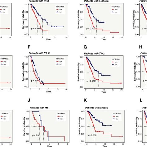 Km Survival Analyses Of Various Clinical Subgroups In Tcga Luad Cohort