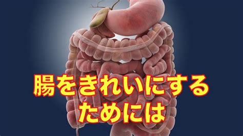 【腸内環境 改善】腸をきれいにする方法【埼玉県 和光市 腸内環境 整体 整体院祐】 Youtube