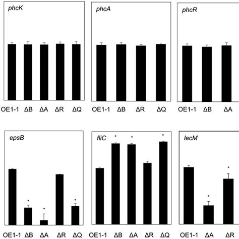 Expression Levels Of The Quorum Sensing Qs ‐related Genes Phcb Phck