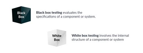 Black Box Vs White Box Testing Whats The Difference Testlodge Blog