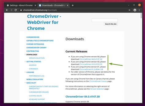 introduction to selenium in python 3 linux hint
