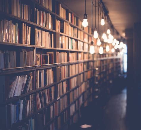 information theory concepts entropy mutual information