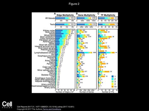 Understanding Tissue Specific Gene Regulation Ppt Download