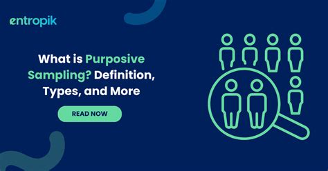 What Is Purposive Sampling Definition Types And More