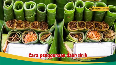 Ketahui 4 Manfaat Daun Sirih Untuk Wajah Bikin Wajah Makin Halus Dan