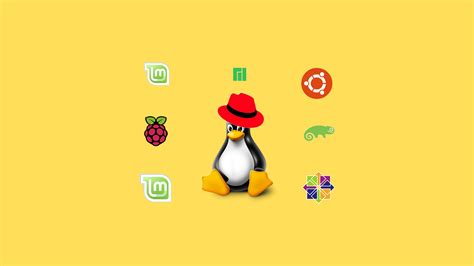 package management in linux