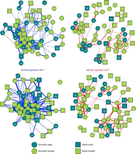 below and aboveground social networks a b belowground networks blue