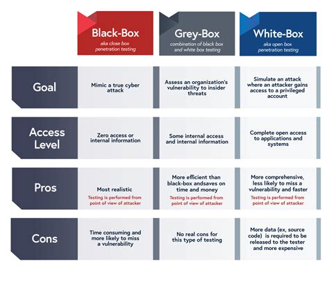 a guide to penetration testing black box