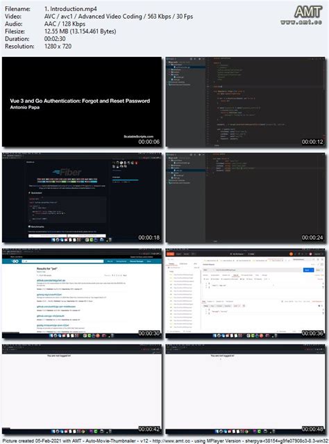 download vue 3 and golang authentication forgot and reset password