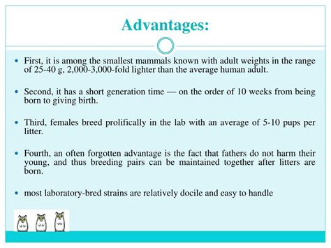 Ppt Mouse Genome Project Bioinformatics 407 Powerpoint Presentation
