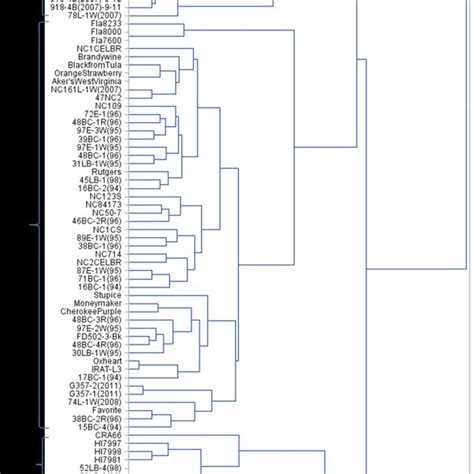 Dendrogram Based On Average Linkage Cluster Analysis Of Tomato