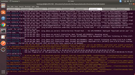 integration of camunda with keycloak sso spring boot