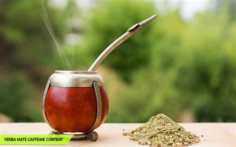 Yerba Mate Caffeine Content And Other Ingredients Tea Allure
