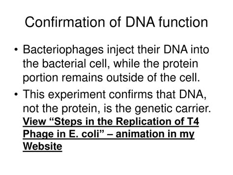 Ppt Dna Structure Powerpoint Presentation Free Download Id 9638825