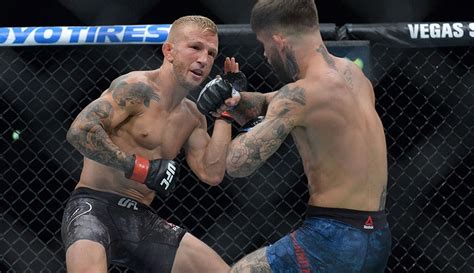 Ufc News T J Dillashaw Assesses Cody Garbrandts Biggest Flaw