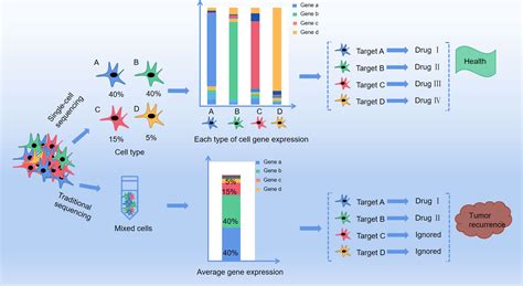 Frontiers The Development Of Single Cell Metabolism And Its Role In