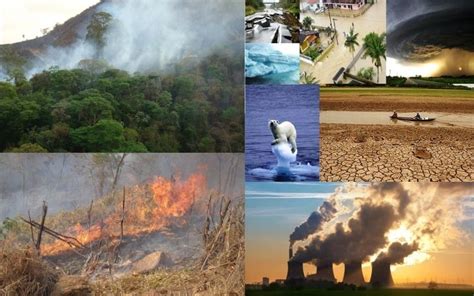 Você Sabe O Que é Mudança Climática Copaíba