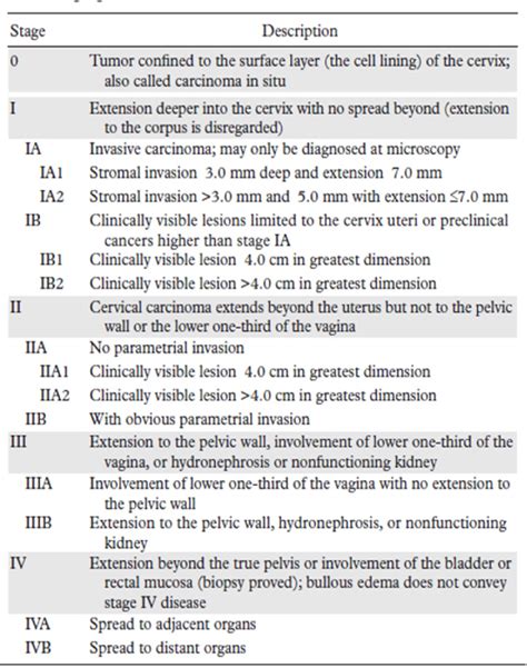 Figure 3 From Cervical Cancer Staging Through Magnetic Resonance