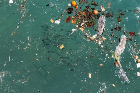 Ocean Or Marine Pollution Meaning Types And Causes Healthgardeners