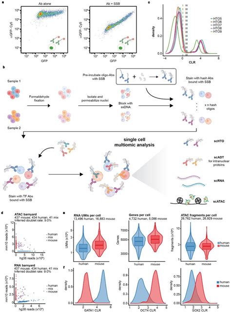 Neat Seq Simultaneous Profiling Of Intra Nuclear Proteins Chromatin