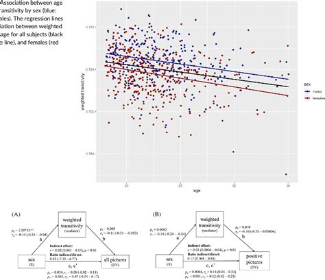 Figure 4 From Sex‐dependent Differences In Connectivity Patterns Are