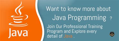 ccas java training institute in jaipur and delhi java