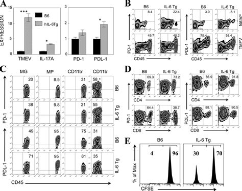 Elevated Levels Of Pd 1 And Pdl 1 Expression On Cns Resident Microglia