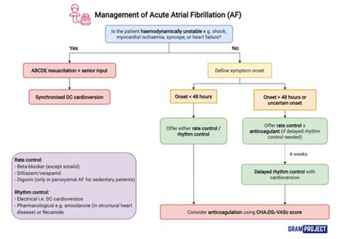Atrial Fibrillation Flutter Flashcards Quizlet