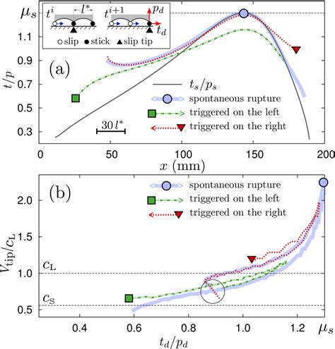 The Consideration Of The Dynamic Stress In Front Of The Rupture Tip