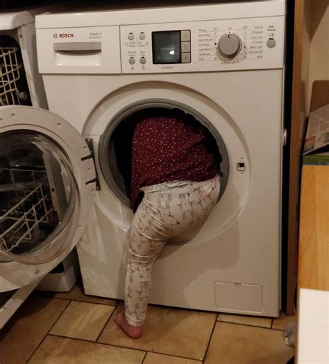 Stuck In A Washing Machine Porn Telegraph