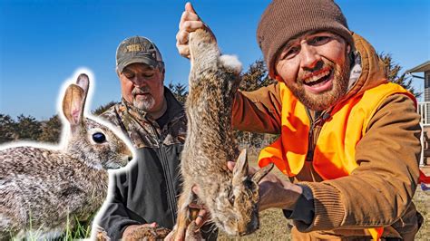 Rabbit Hunting Nh At Shawn Sommer Blog