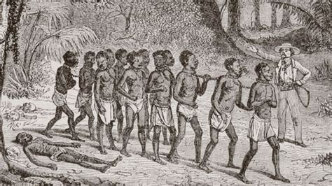Revealed ‘my Nigerian Great Grandfather Sold Slaves – Ghanamatters
